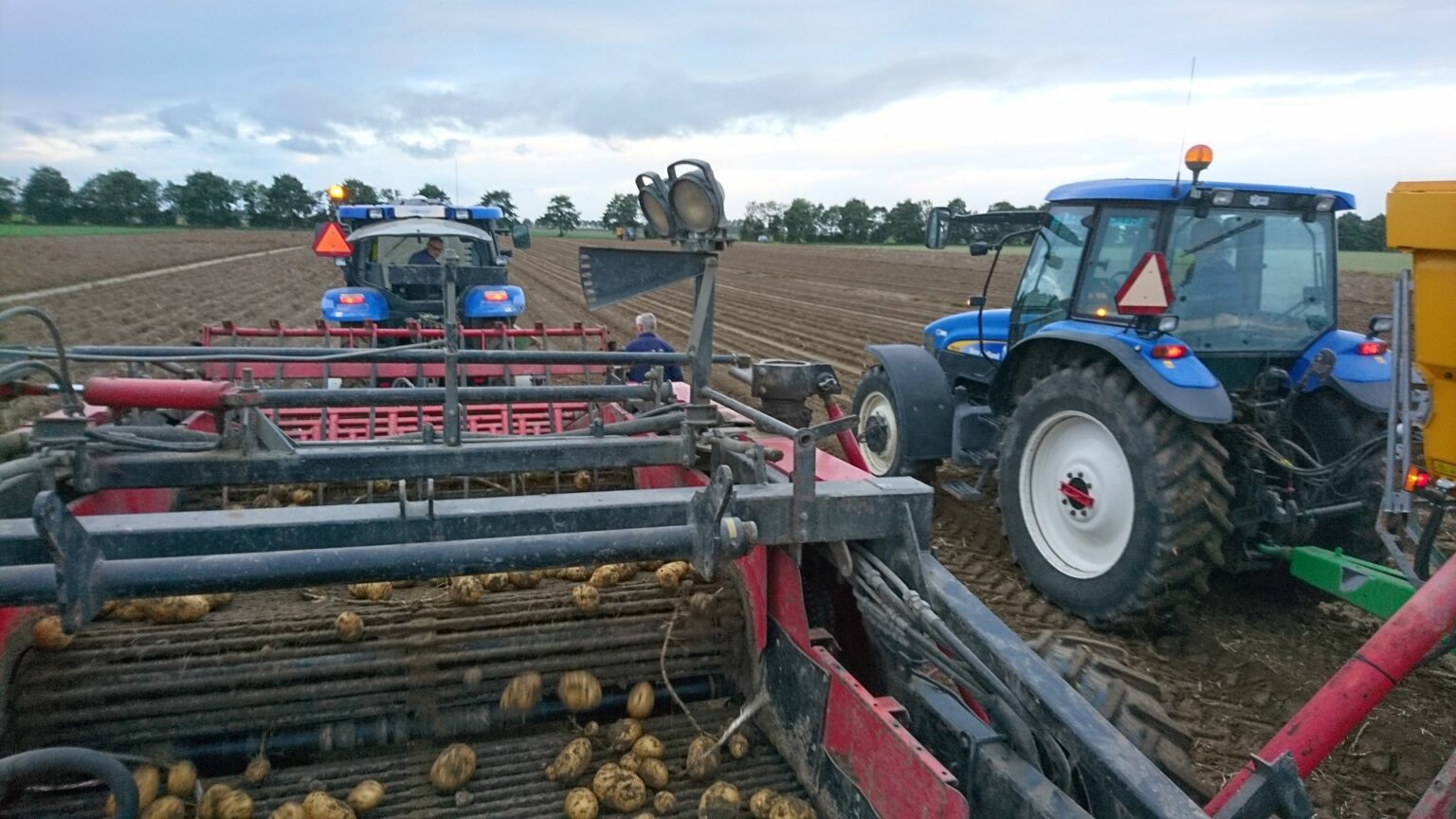 Peeling back the layers: A steamy dive into Potato Peeling Excellence ...